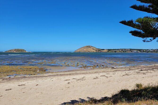 Victor Harbor: Stories of Whaling, Shipwrecks and European Settlers Guided Tour - An Honest Look at the Victor Harbor: Stories of Whaling, Shipwrecks, and European Settlers Guided Tour