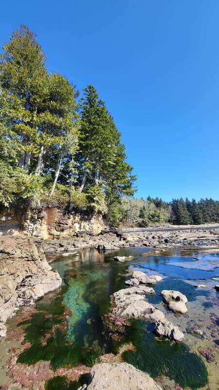 Victoria: 4-Day Tofino and Port Renfrew Tour with Flights - Final Thoughts