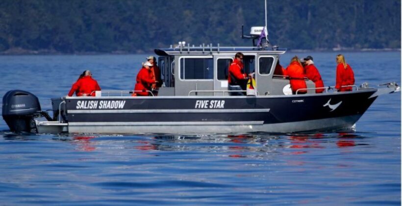 Victoria, BC: 3-Hour Ultimate Whale & Marine Wildlife Tour - FAQ