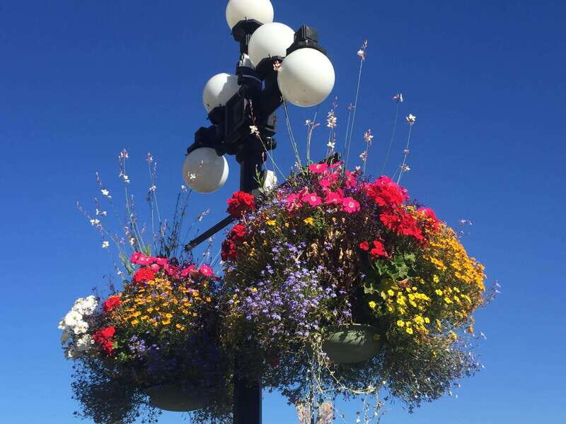 Victoria, BC: City Tour and Butchart Gardens Combo Tour - What Do the Reviews Say?