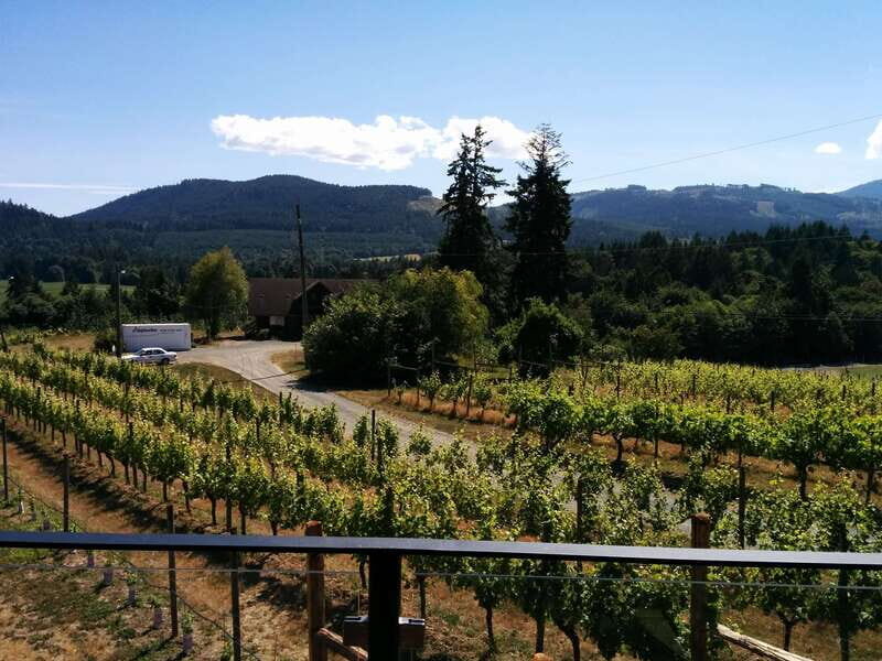 Victoria, BC: Food & Wine Tour to the Cowichan Valley - An in-depth look at the experience