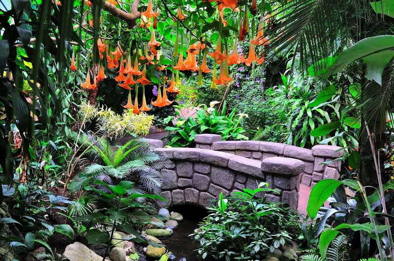 Victoria: Butterfly Gardens Admission Ticket - Entering a Tropical World in Victoria