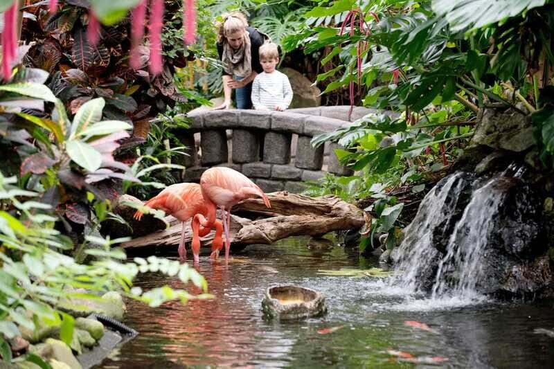 Victoria: Butterfly Gardens Admission Ticket - What the Reviews Say: Authentic Perspectives