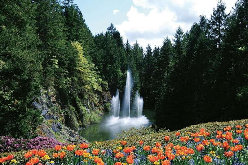 Victoria: City Highlights and Butchart Gardens Tour - Transportation and Group Size