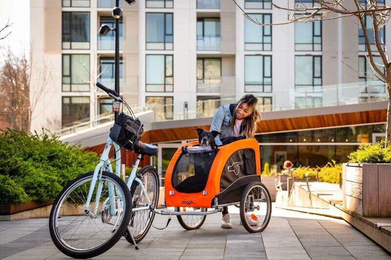 Victoria City Highlights Bike Tour - Castle Hoods & Legends - Who Will Love This Tour?
