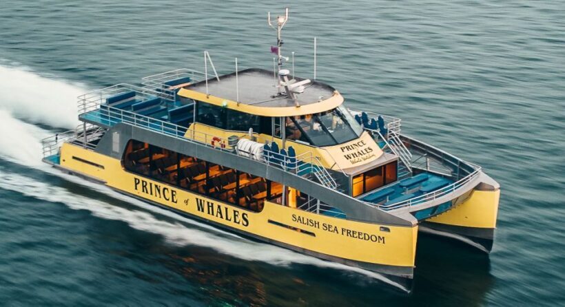 Victoria: Covered Whale Watching Adventure with Free Photos - Final Thoughts