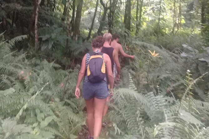 Victoria Fall Tour - Why Choose the Victoria Fall Tour?