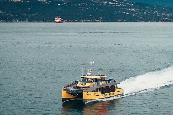 Victoria Half-Day Whale Watching Adventure with Free Photos - What to Expect on Your Victoria Whale Watching Trip