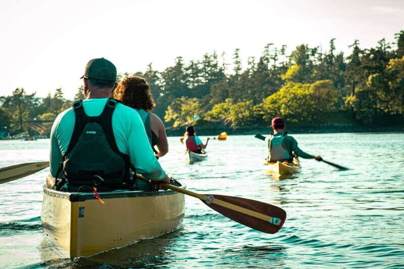 Victoria: Kayak Harbour Tour - Key Points