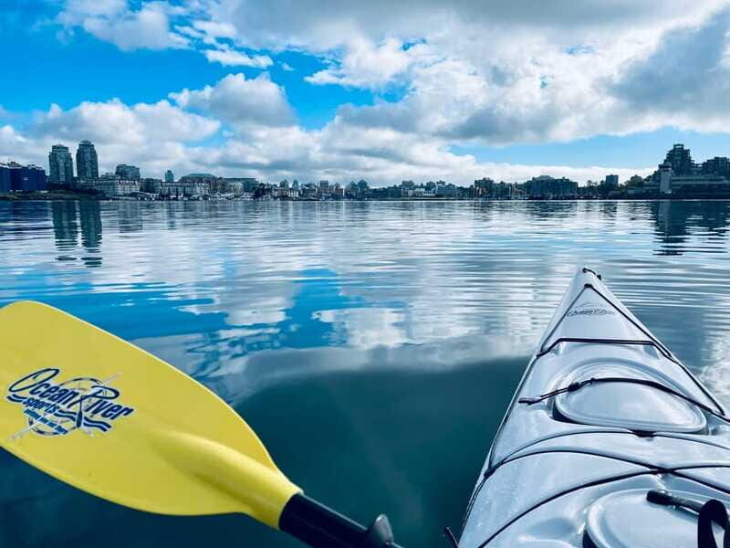Victoria: Kayak Harbour Tour - Authentic Feedback from Participants