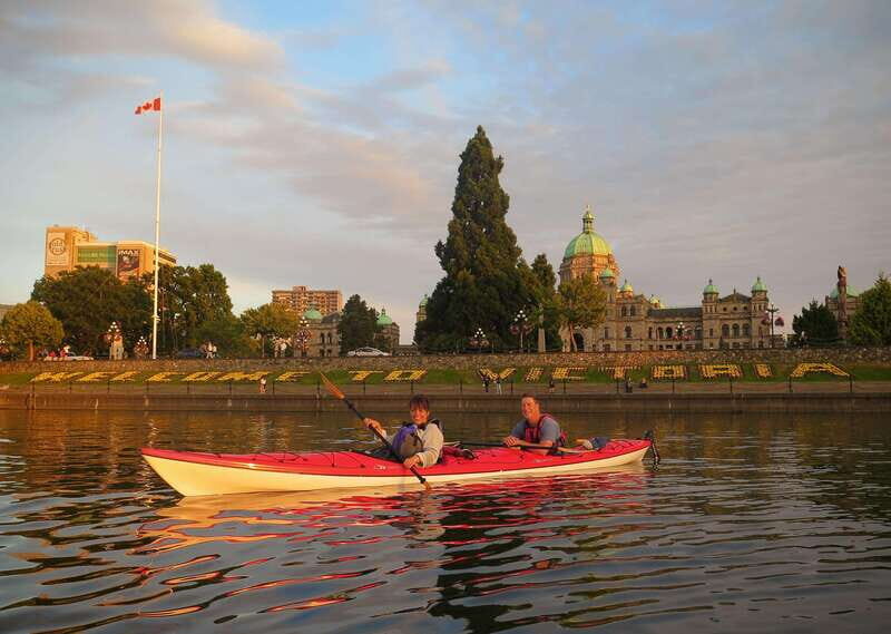 Victoria: Kayak Harbour Tour - Is This Tour Right for You?