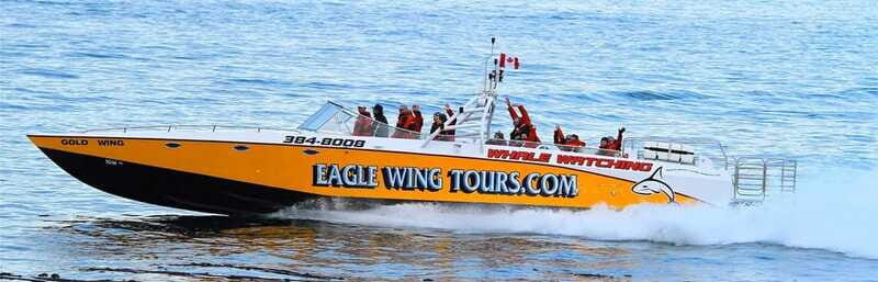 Victoria: Morning Whale-Watching Tour in Scarab Boat - The Value Proposition