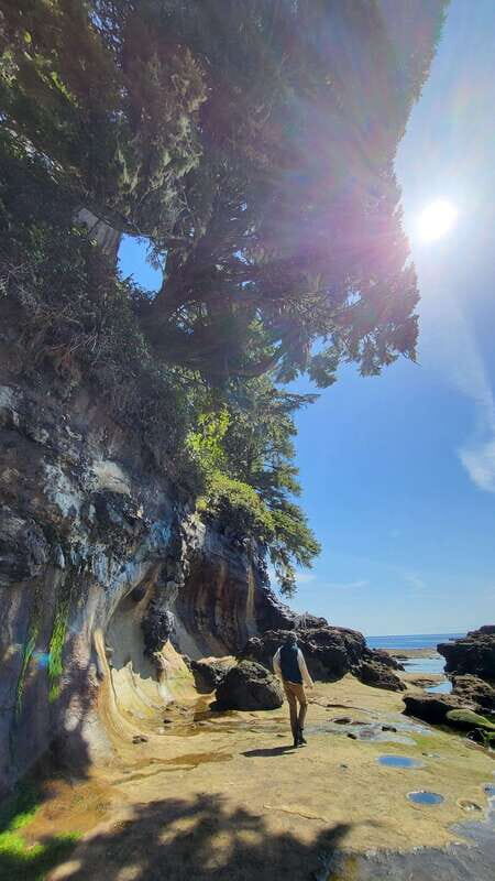 Victoria: Old Growth Rainforest Canyon Waterfall and Beaches - Who Will Love This Tour?
