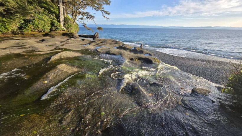 Victoria: Old Growth Rainforest Canyon Waterfall and Beaches - FAQ