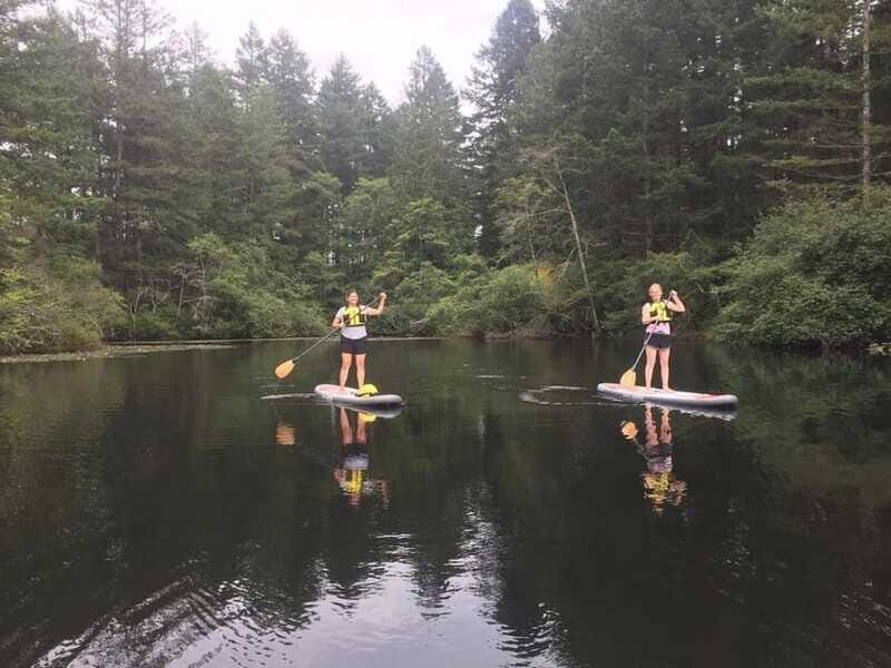 Victoria: Paddle Board Rental with Full Equipment - Equipment Quality and Safety