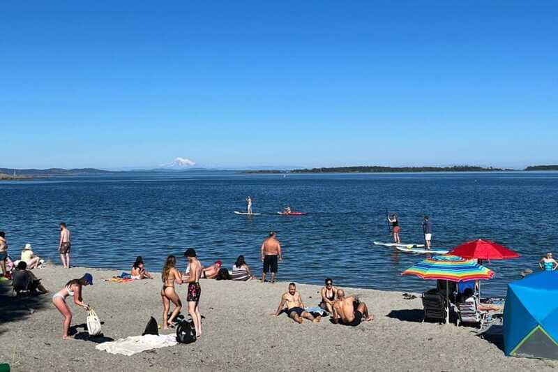 Victoria: Paddle Board Tour at Willows Beach - Authentic Wildlife Encounters