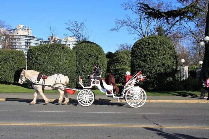 Victoria Pre and Post Cruise City Sightseeing Tour Private - Last stop: Victoria Harbour and the Civic Landmarks