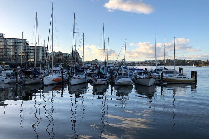 Victoria Scavenger Hunt and City Highlights Walking Tour - Value and Practical Considerations