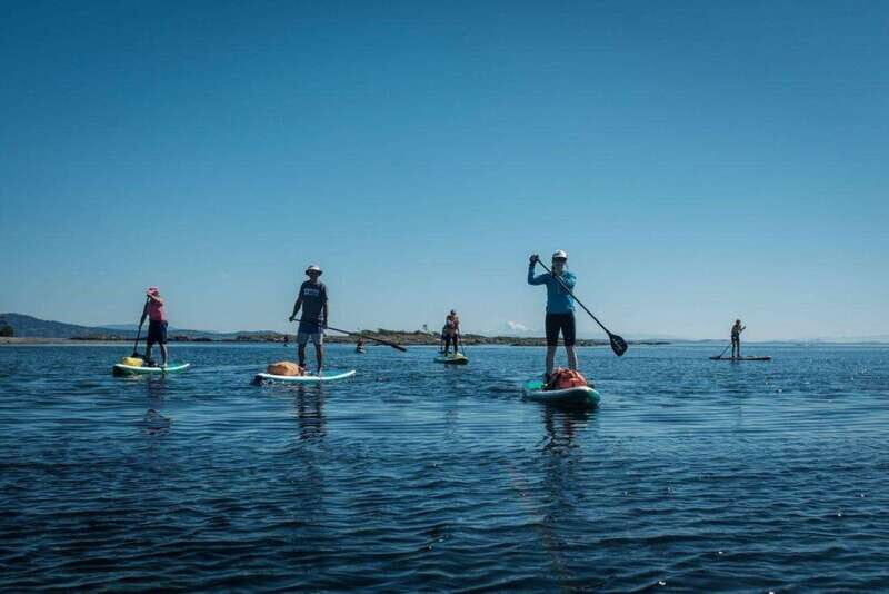 Victoria: Secret Beaches and Islands SUP Tour - Who Will Love This Tour?