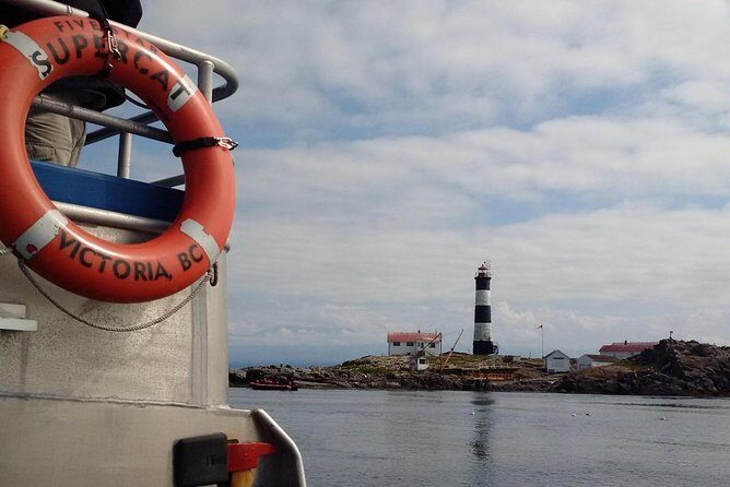 Victoria Shore Excursion: Whale-Watching Cruise with Expert Naturalist Guides - Who Should Consider This Tour?