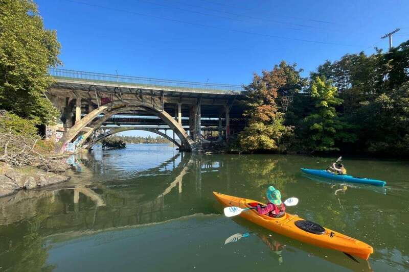 Victoria: Single Sea Kayak Rental - The Experience: What to Expect from Your Kayaking Adventure