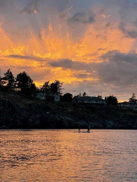 Victoria: Sunrise or Sunset SUP Tour - The Value of a $53 SUP Tour