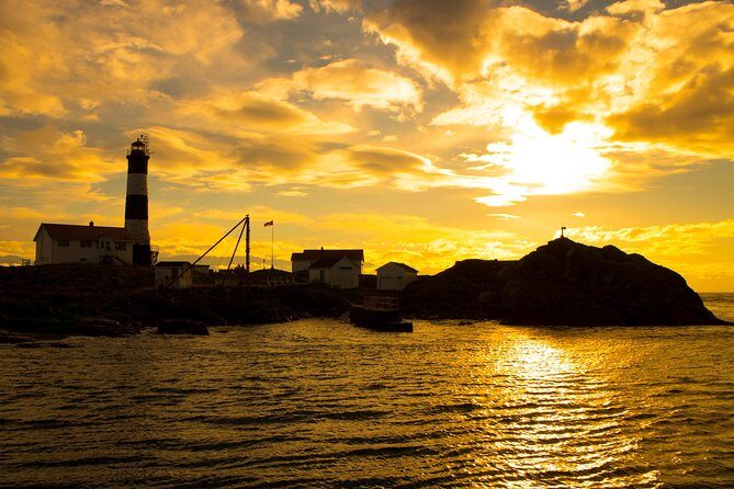 Victoria Sunset Whale-Watching Cruise - Wildlife & Marine Life Sightings