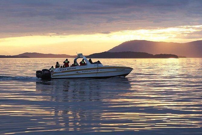 Victoria Sunset Whale-Watching Cruise - Practicalities: What You Need to Know