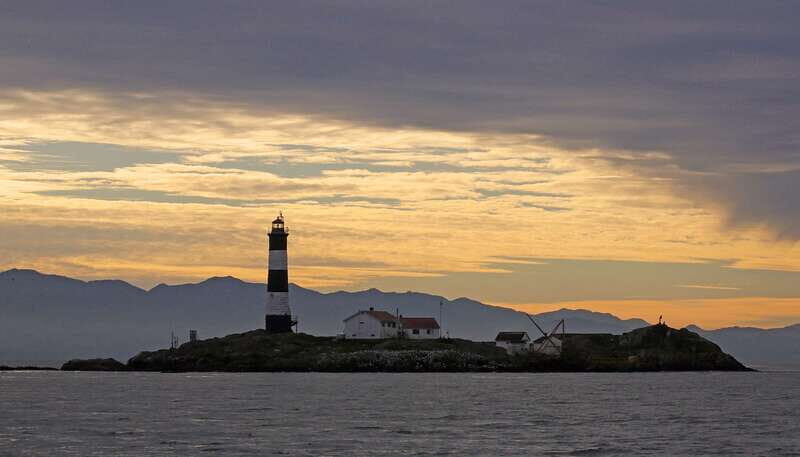 Victoria: Sunset Whale Watching Tour on Semi-Covered Boat - FAQ