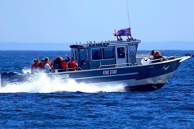 Victoria Ultimate Marine Whale & Wildlife Tour - Who Will Love This Tour?