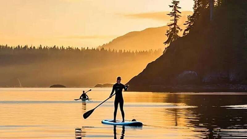 Victoria: Upper Gorge Waterway Paddle Boarding Tour - Why Choose This Tour?