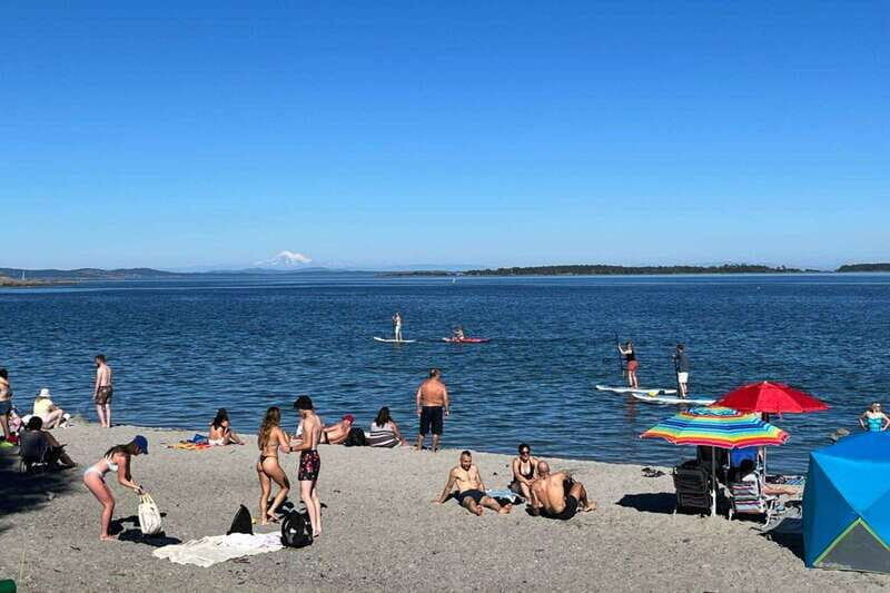 Victoria: Upper Gorge Waterway Paddle Boarding Tour - FAQ: Your Practical Questions Answered