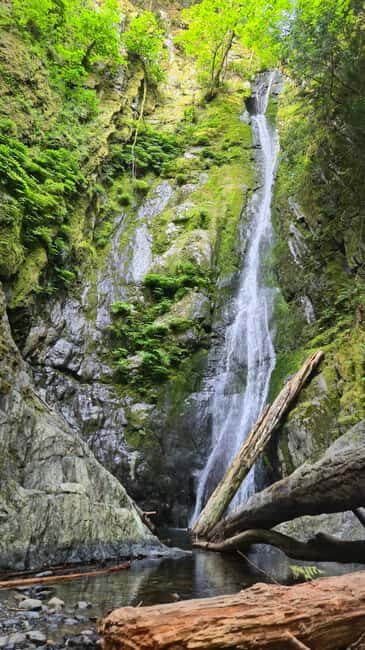 Victoria Waterfall, Skywalk, Beach Picnic, Castle and Whales - Authentic Experiences and Traveler Feedback