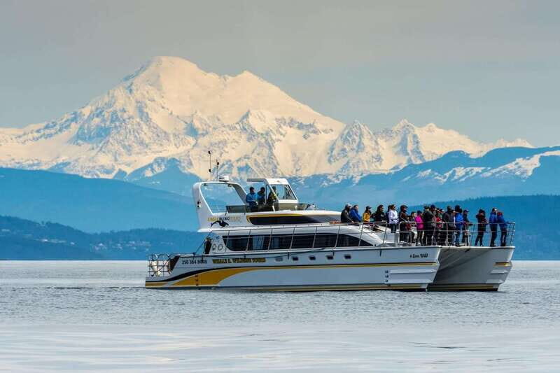 Victoria: Whale and Wildlife Semi-Covered Boating Tour - The Sum Up