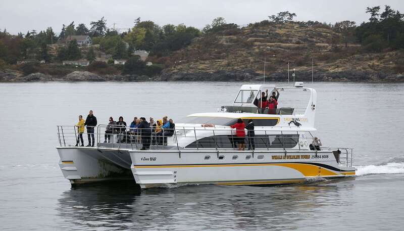 Victoria: Whale and Wildlife Semi-Covered Boating Tour - FAQ