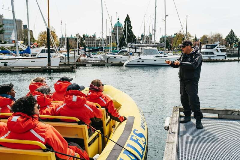 Victoria: Whale Watching Adventure in a Zodiac Boat - The Downside and Considerations