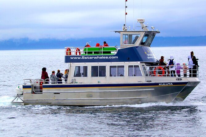 Victoria Whale Watching Cruise with Expert Naturalists - Overview and Practical Details
