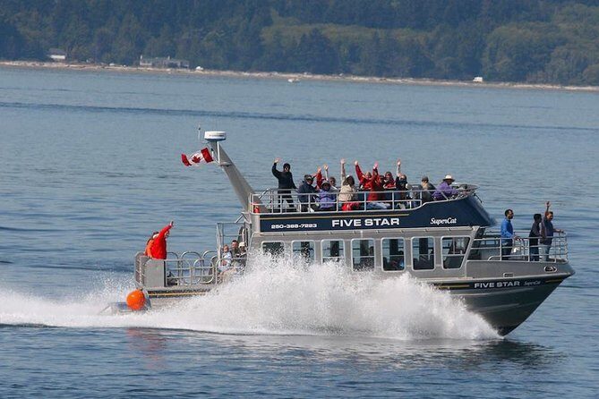 Victoria Whale Watching Cruise with Expert Naturalists - What the Tour Looks Like