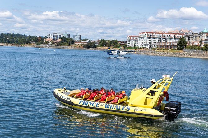 Victoria Zodiac Whale Watching Adventure - FAQ