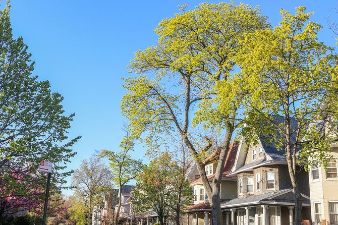 Victorian Flatbush , Brooklyn Private Tour - Walking the Historic Flatbush Avenue