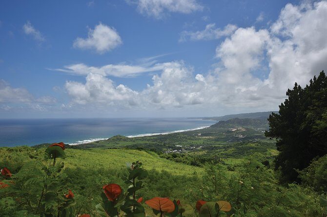 Victorian Steam Railway to Cherry Tree Hill + Great House Tour - The Sum Up: Is This Tour Worth It?