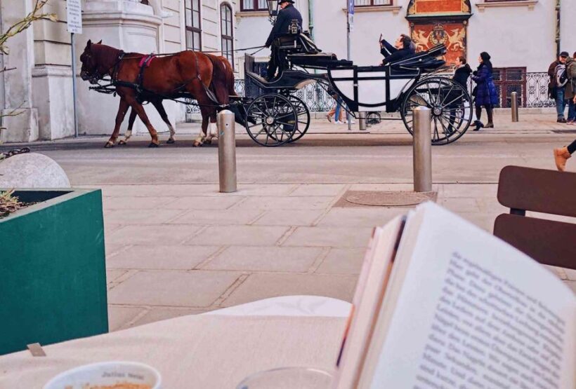 Vienna: 30-Minute Fiaker Ride in the Old Town - Starting Point and What You Can Expect