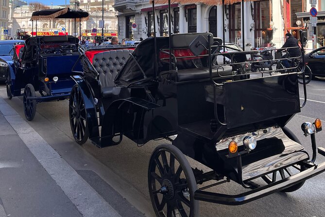 Vienna: 60 min. Royal E-Carriage Sightseeing Tour with Drinks - Is this Tour Worth the Price?
