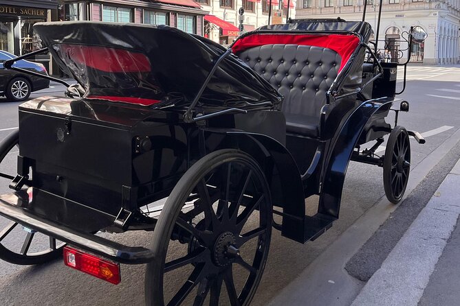 Vienna: 60 min. Royal E-Carriage Sightseeing Tour with Drinks - Who Will Love This Tour?