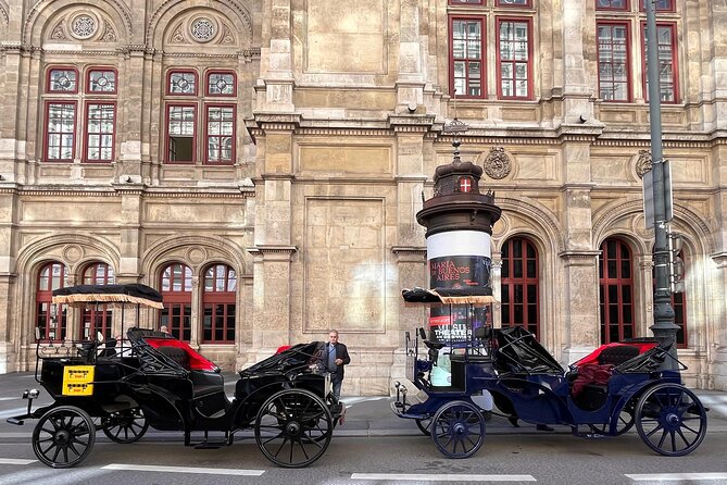 Vienna: 60 min. Royal E-Carriage Sightseeing Tour with Drinks - FAQs