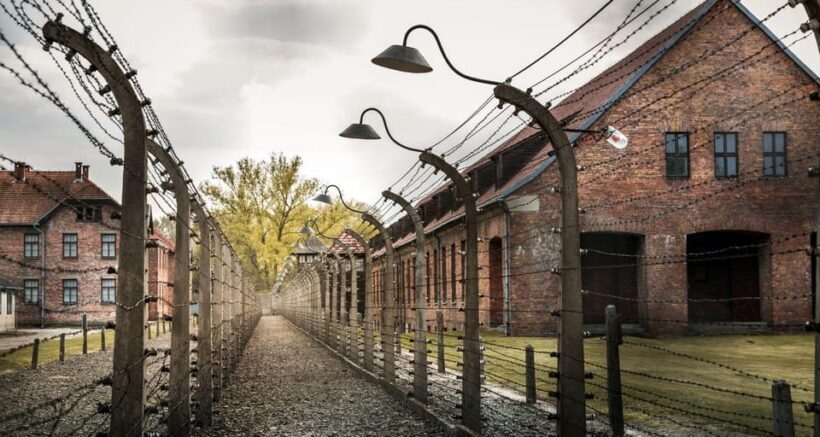 Vienna: Auschwitz Birkenau Full-Day Tour w/ Hotel Transfers - Key Points