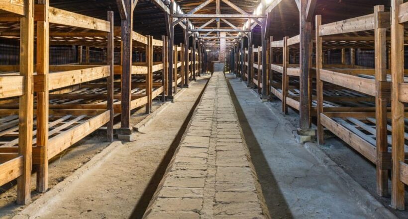 Vienna: Auschwitz Birkenau Full-Day Tour w/ Hotel Transfers - Practical Tips for Your Auschwitz Day Trip