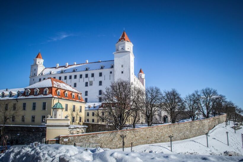 Vienna: Bratislava Day Trip with Private Guide and Transport - What to Expect from This Bratislava Day Trip
