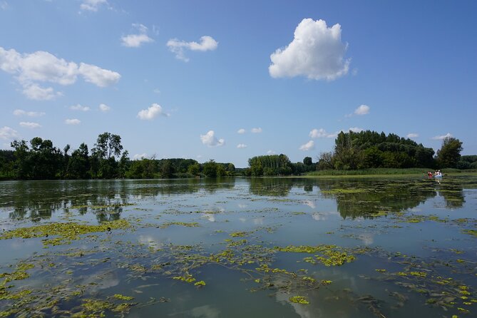 Vienna-Budapest Bike Rental with Bike Delivery - What to Expect on the Ride