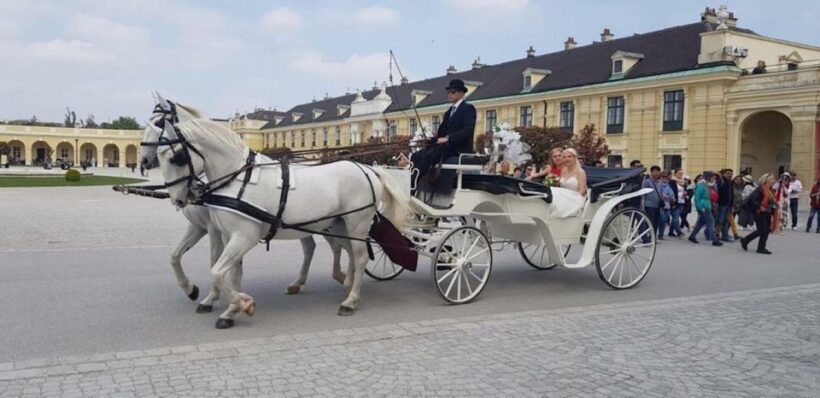 Vienna: Carriage Ride Through Schönbrunn Palace Gardens - Key Points